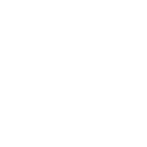 Home - Boston Vigor FC Usa